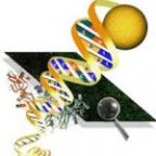 Best Bioinformatics Training at Rasa Life Sciences,Pune, India